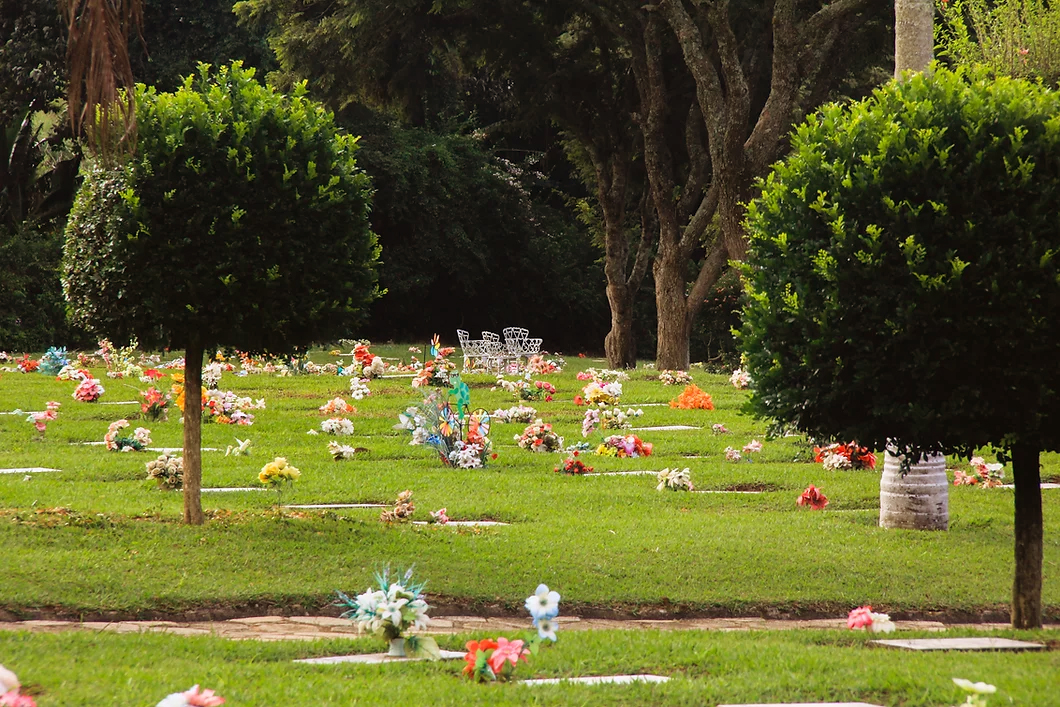 Cemiterio Da Paz Barbacena - LIBRAIN